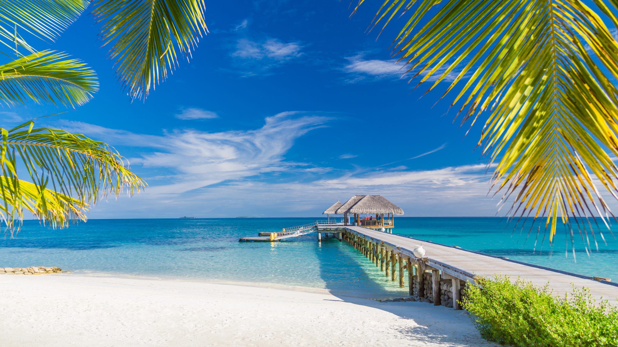 CARAIBI – Kuda Tour Operator